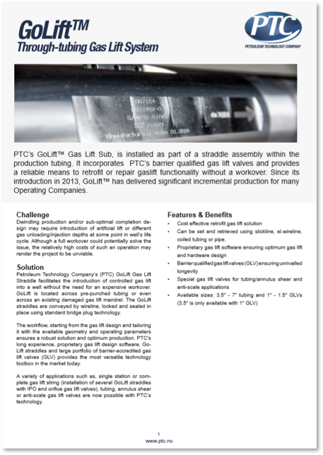 GoLift - Gas Lift Straddle