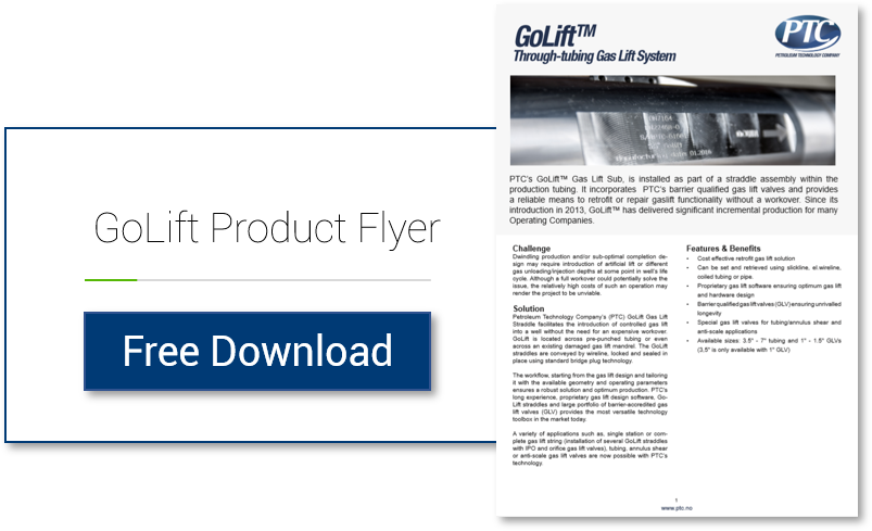 GoLift - Gas lift Straddle - Download Product Flyer
